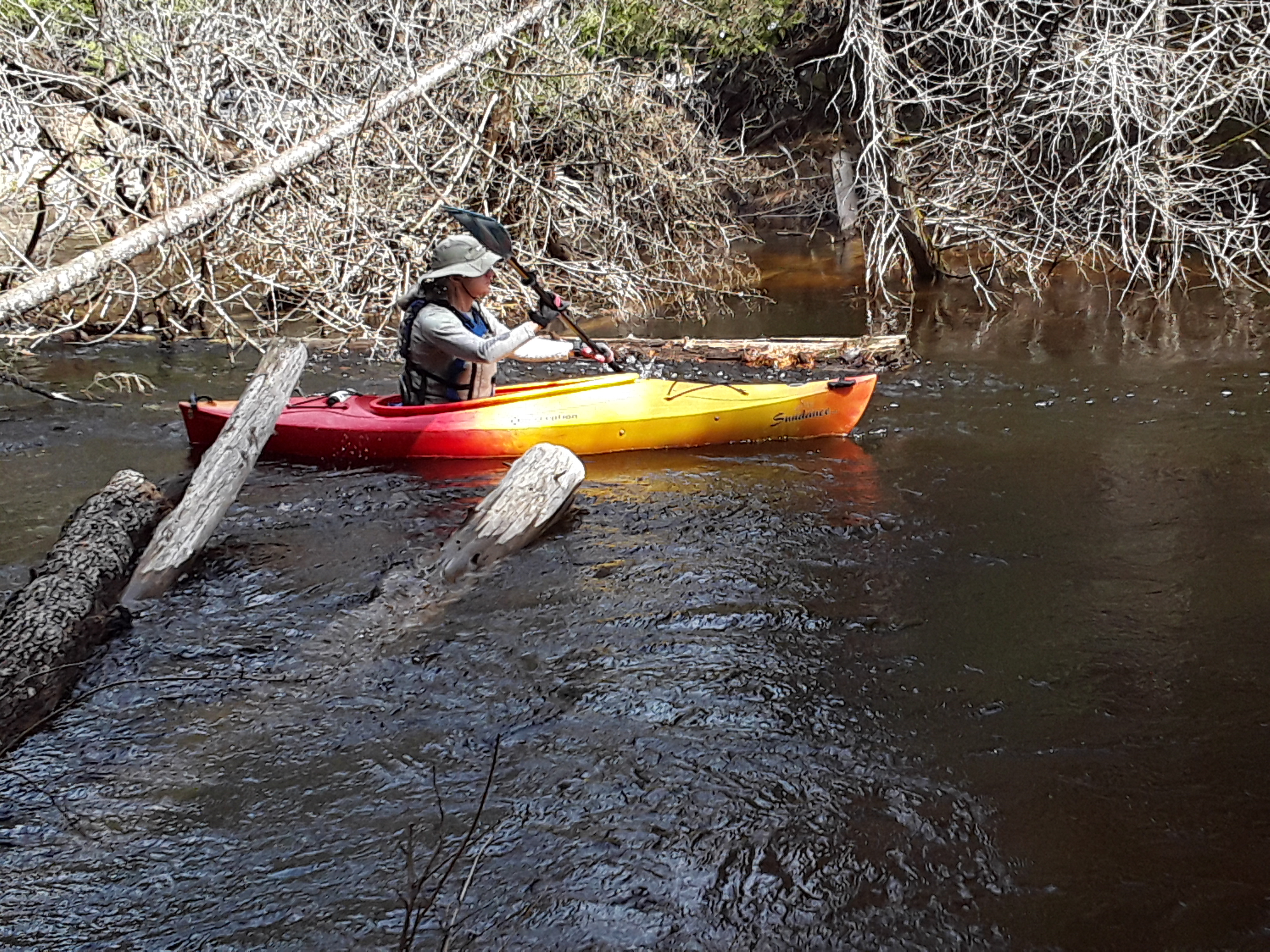 Maple River-North Western State Trail Surprise | N. Michigan River Paddling